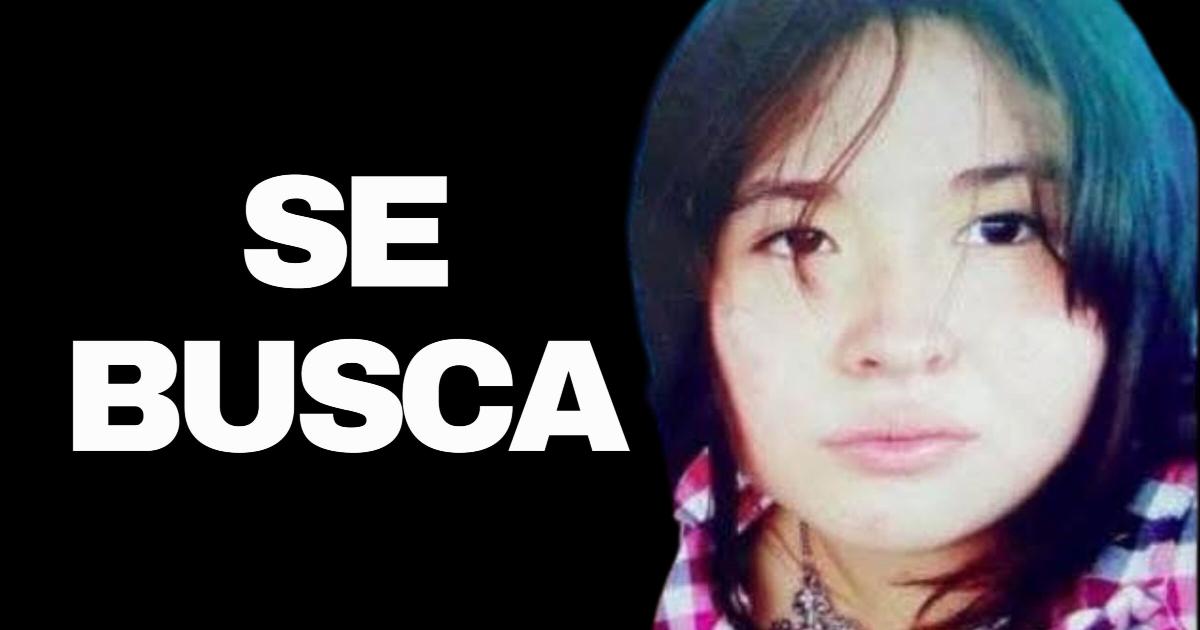 Hay varias líneas de investigación en la desaparición de Michelle ...