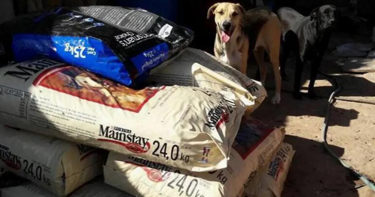 Invitan al Croquetón Navideño 2025 para apoyar a animales rescatados ...